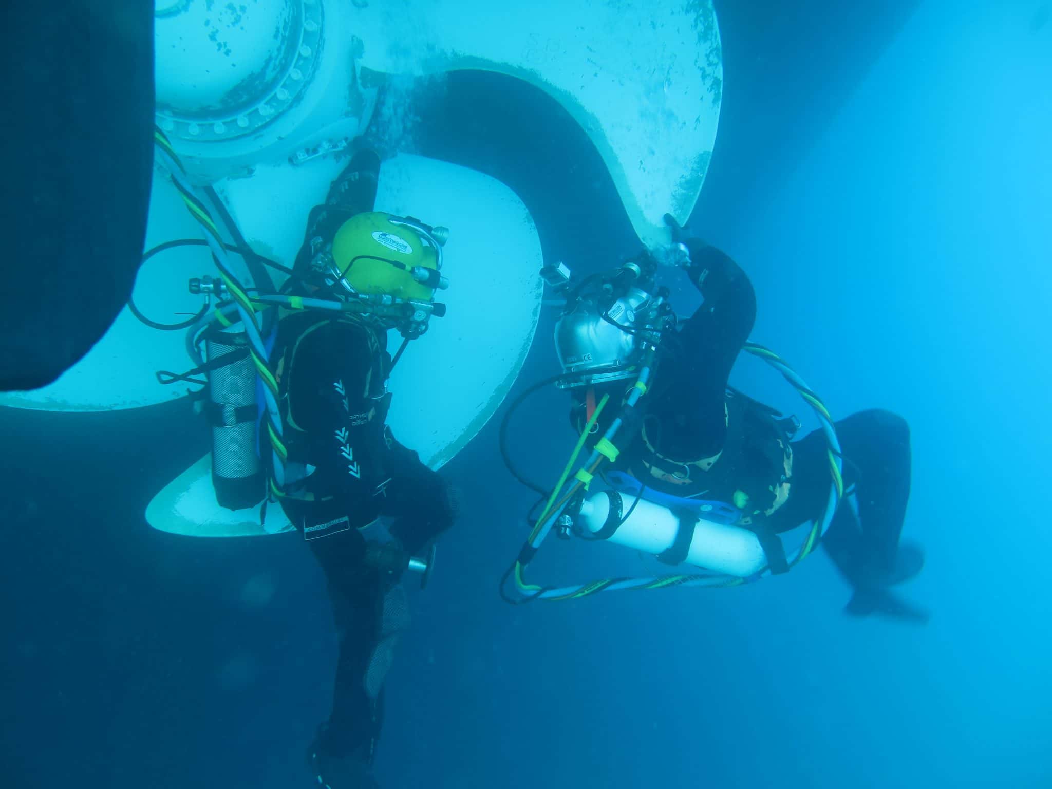 UWILD / In-Water Survey Johor Malaysia - Unidive Marine Services ...