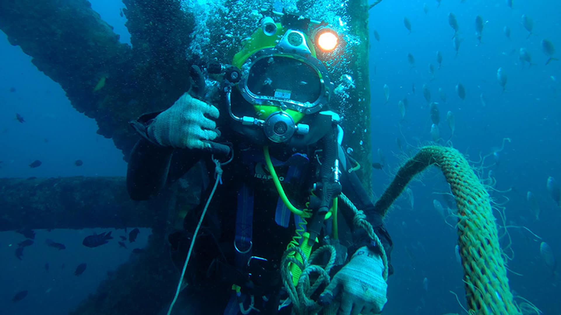 UWILD / In-Water Survey Johor Malaysia - Unidive Marine Services ...